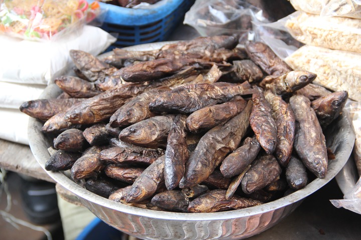 dried fish | Nepal and the Mystical Himalayas | Phyllis Nethercot